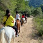 Mallorca: Activity, Antique Mallorca with Picnic - Authentic Experiences and Authentic Sights