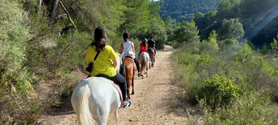 Mallorca: Activity, Antique Mallorca with Picnic - Authentic Experiences and Authentic Sights