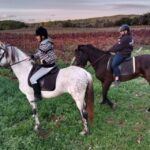 Mallorca: Activity with Horses, Antique Mallorca - The Itinerary in Detail