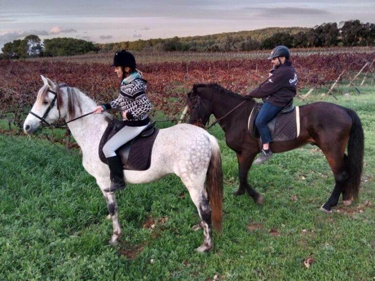 Mallorca: Activity with Horses, Antique Mallorca - The Itinerary in Detail