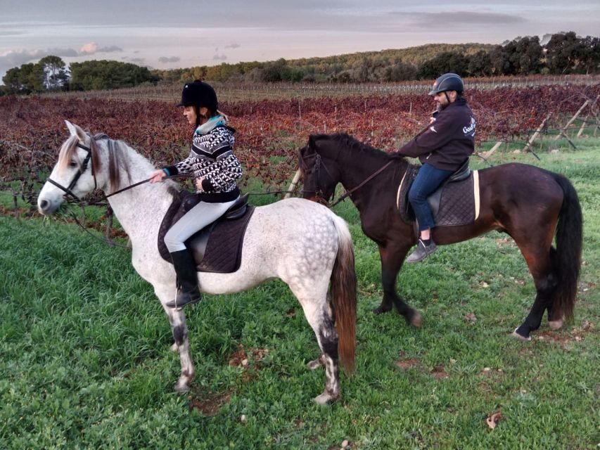 Mallorca: Activity with Horses, Antique Mallorca - The Itinerary in Detail