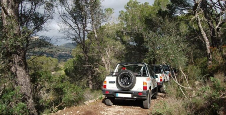 Mallorca: Beach and Mountain 4X4 Tour - The Value and Practical Details