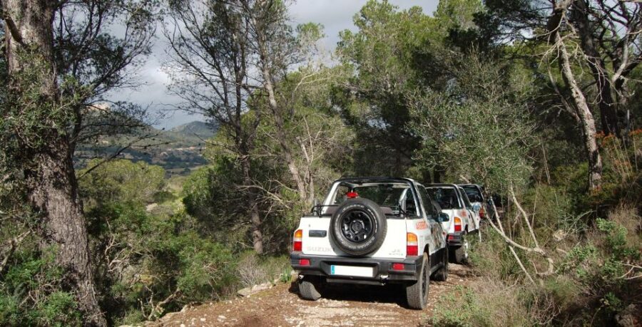 Mallorca: Beach and Mountain 4X4 Tour - The Value and Practical Details