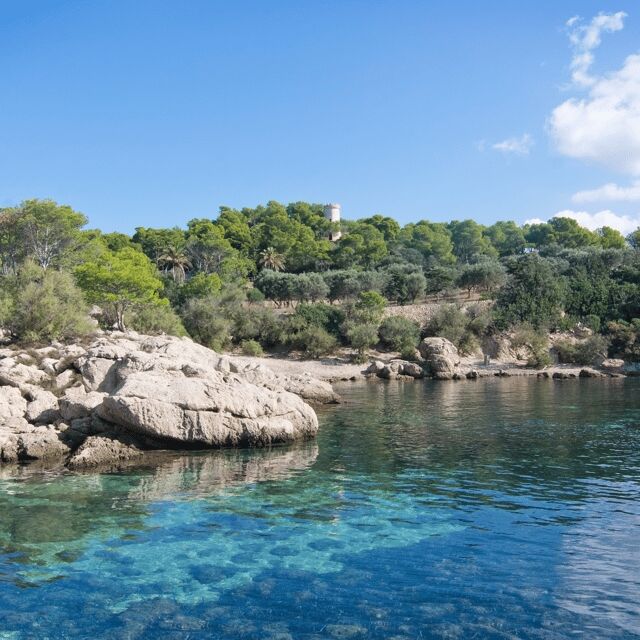 Mallorca: Boat Transfer between Port Andratx and Sant Elm - The Itinerary: What to Expect