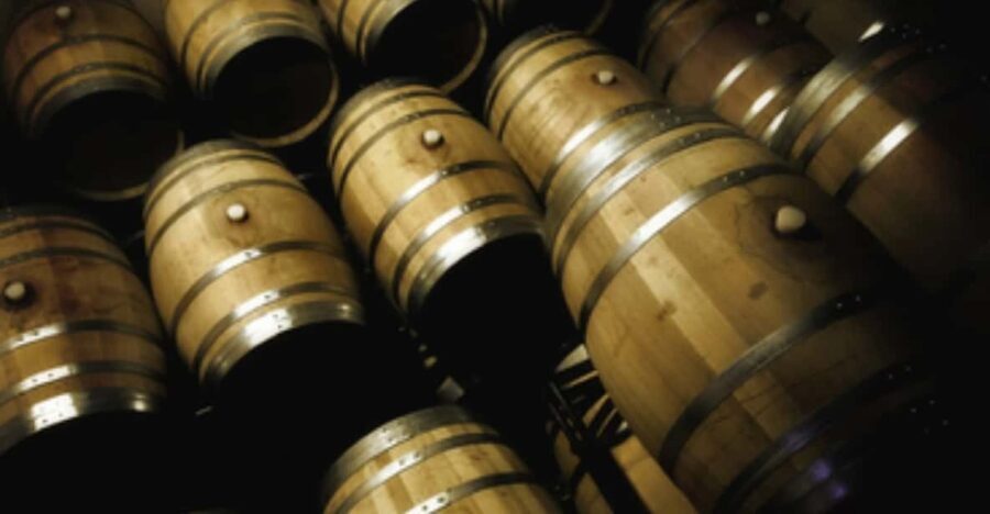 Mallorca: Bodega Butxet Vineyards & Winery Tour with Tasting - A Genuine Look at the Mallorca Wine Experience