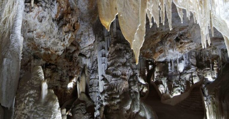 Mallorca: Campanet Caves Entry Ticket - What You Would Experience at the Campanet Caves