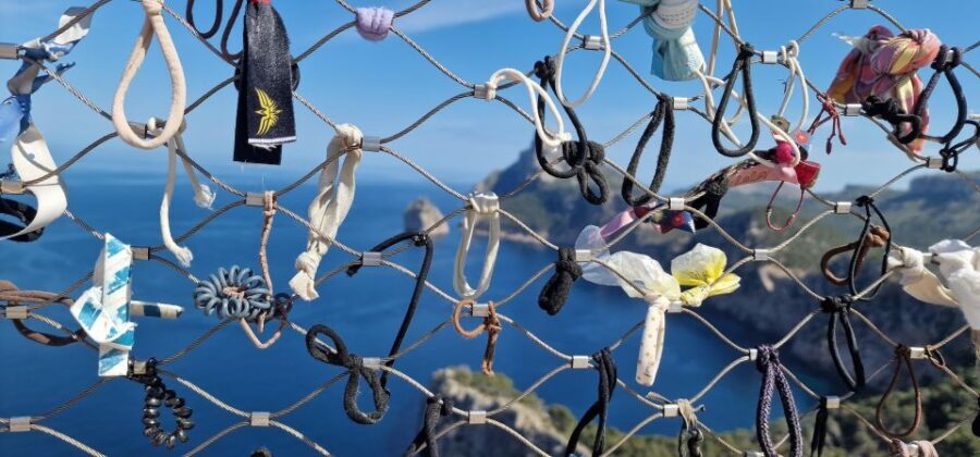Mallorca: Cap & Cava - Minibus Tour to Formentor - GERMAN - The Practicalities: How This Tour Works