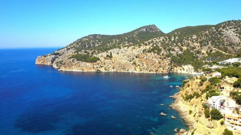 Mallorca: Catamaran Coastal Cruise with Lunch - The Experience from the Travelers Perspective