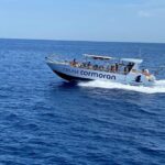 Mallorca: Caves, Cliffs, and Coves Boat Trip - The Realities: Pros and Cons