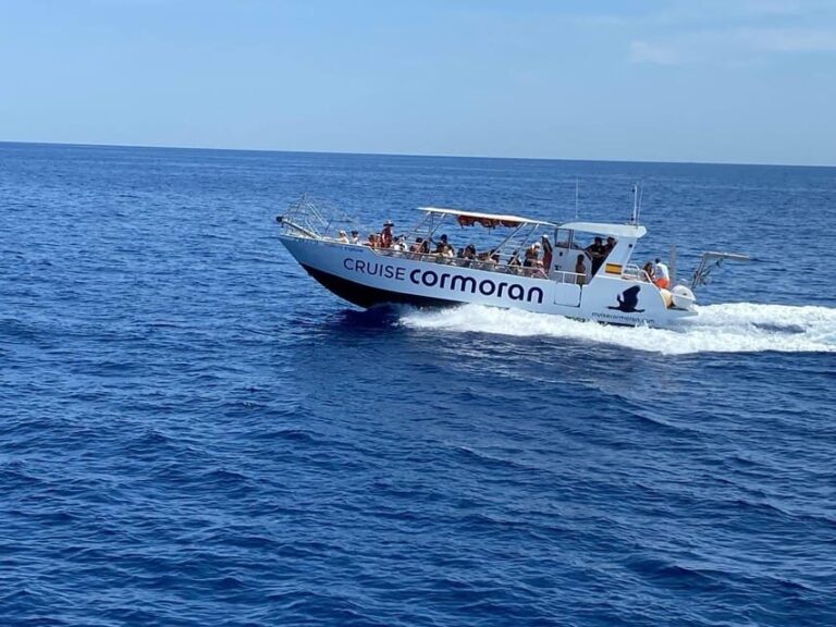 Mallorca: Caves, Cliffs, and Coves Boat Trip - The Realities: Pros and Cons