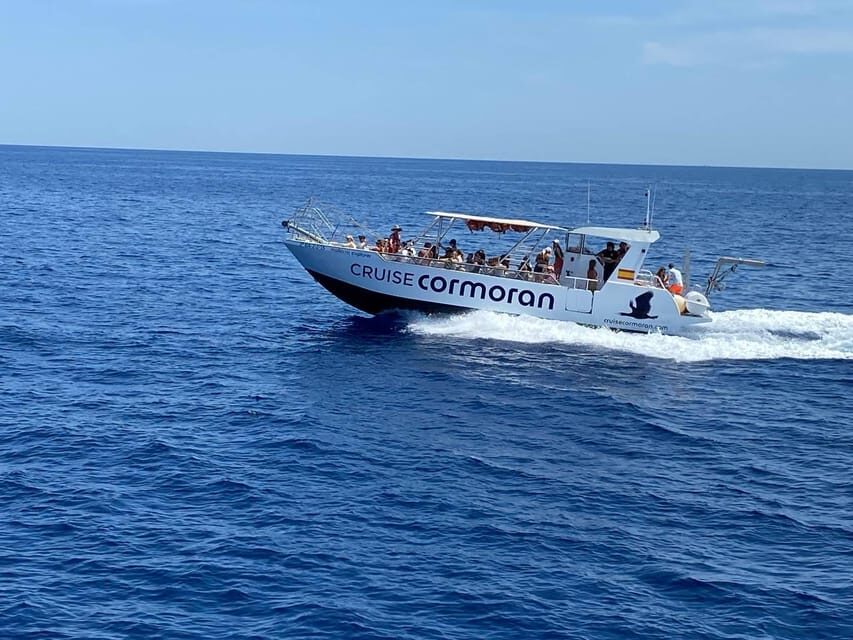 Mallorca: Caves, Cliffs, and Coves Boat Trip - The Realities: Pros and Cons