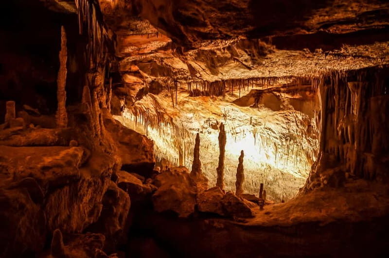 Mallorca: Caves of Drach Tour from the North with Boat Trip - Detailed Breakdown of the Itinerary