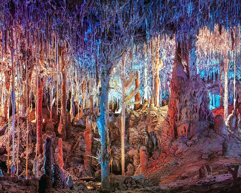 Mallorca: Dinosaurland and Caves of Hams Combined Ticket - Who Will Love This Experience?