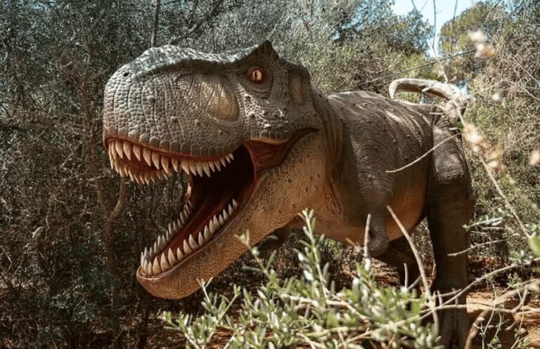 Mallorca: Dinosaurland Park, Hams Caves & Porto Cristo Tour - A Fully Detailed Breakdown: Day-by-Day