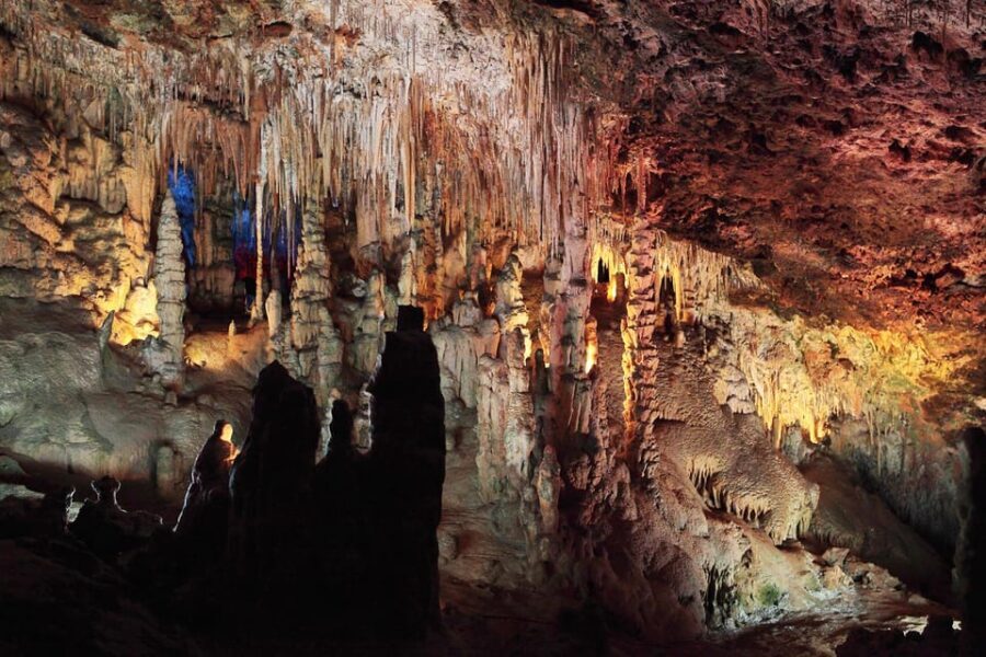 Mallorca: Drach and Hams Caves, and Porto Cristo Day Tour - What You Can Expect on This Tour