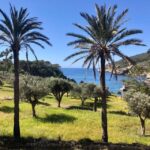 Mallorca: Explore the Island Dragonera with the kayak - The Experience: What Youll Love