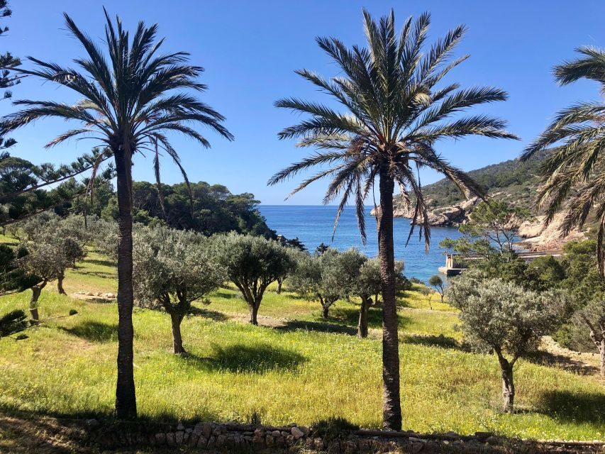 Mallorca: Explore the Island Dragonera with the kayak - The Experience: What Youll Love