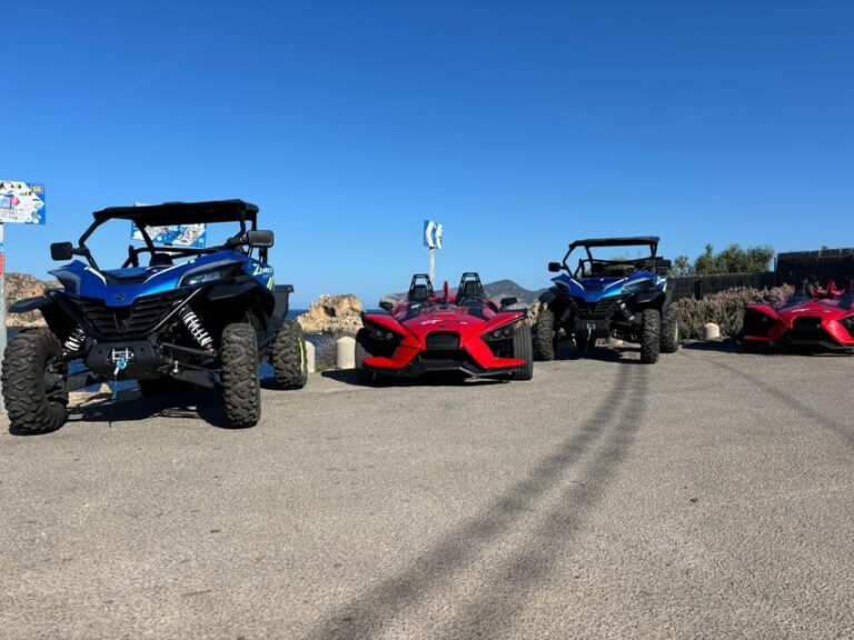 Mallorca: Formula Car and Buggy combo tour - The Vehicles and Driving Experience