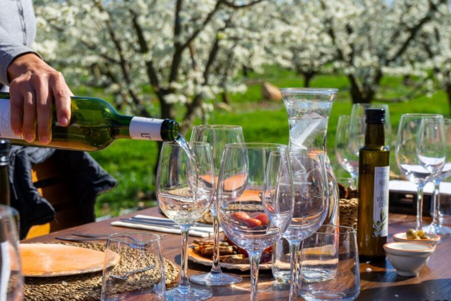 Mallorca: Full-Day Winery Small Group Tour - The Itinerary Breakdown
