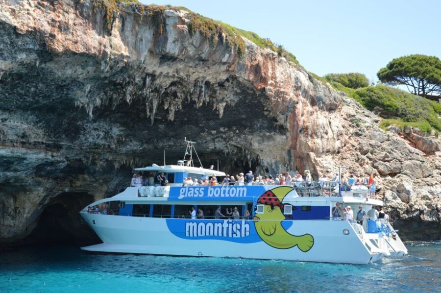 Mallorca: Glass-Bottom Catamaran Along the East Coast - What’s Included and What’s Not
