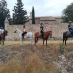 Mallorca: Guided Horseriding Tour of Randa Valley - Who Is This Experience Best For?