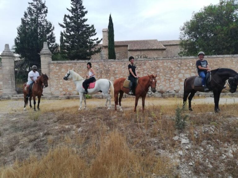 Mallorca: Guided Horseriding Tour of Randa Valley - Who Is This Experience Best For?