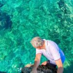Mallorca: Highlights wild coast tour - What is the Mallorca Highlights Wild Coast Tour?