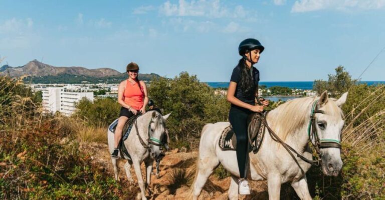 Mallorca: Horseback Riding Experience with Food Options - An In-Depth Look at the Experience