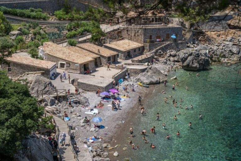 Mallorca: Island Tour with Boat, Tram & Train from the South - Authentic Experiences and Travel Tips