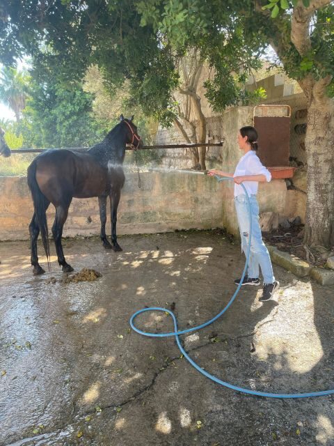 Mallorca: , Mallorcan sunset, horseback riding, with drinks - Itinerary Spotlight