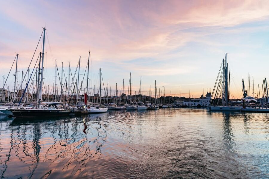 Mallorca: Midday or Sunset Sailing with Snacks and Open Bar - An In-Depth Look at the Mallorca Sailing Tour
