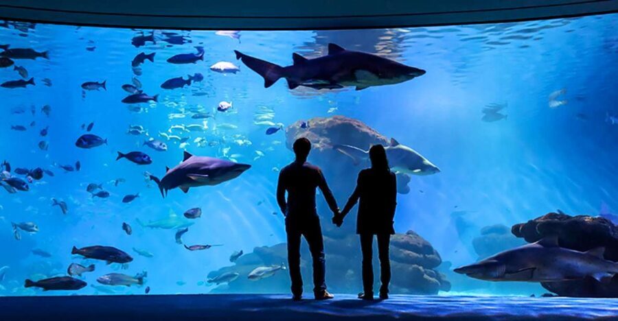 Mallorca: Palma Aquarium Entry Ticket w/ Optional 3D Cinema - The Experience of a Day at Palma Aquarium