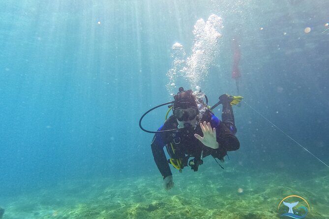 Mallorca PRIVATE Reservation*Scuba dive + photo/video - The Costs and What’s Included