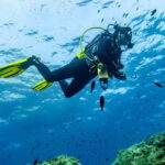 Mallorca: Scuba Dive Adventure Cap de Formentor - 1 dive site - Who Is This Tour Best For?