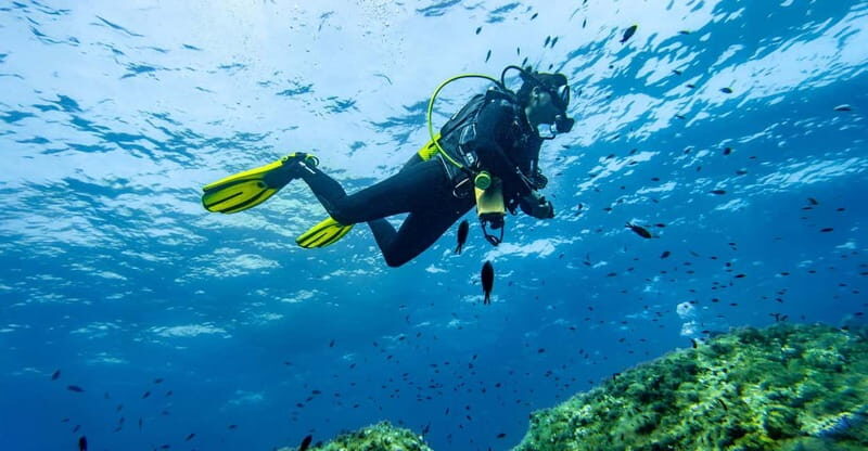 Mallorca: Scuba Dive Adventure Cap de Formentor - 1 dive site - Who Is This Tour Best For?