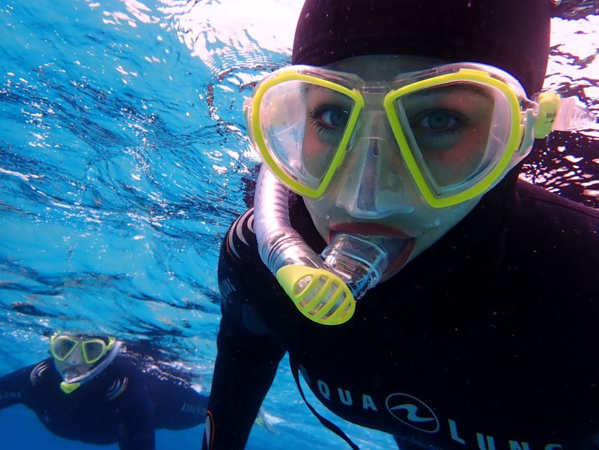 Mallorca: Snorkeling in a Beautiful Nature Reserve - The Itinerary: What to Expect Step-by-Step