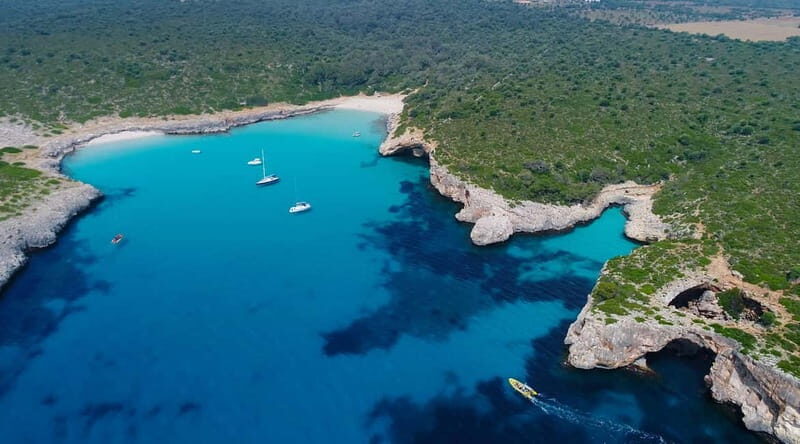 Mallorca: Snorkeling in the Natural Park by Boat - Authentic Feedback from Travelers