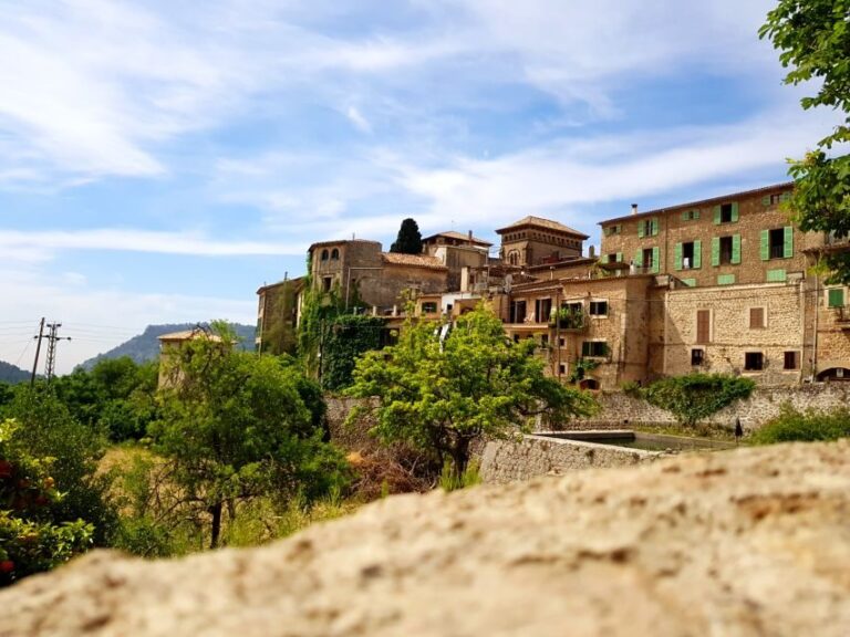 Mallorca: Soller Port and Valldemossa - Practical Details to Keep in Mind