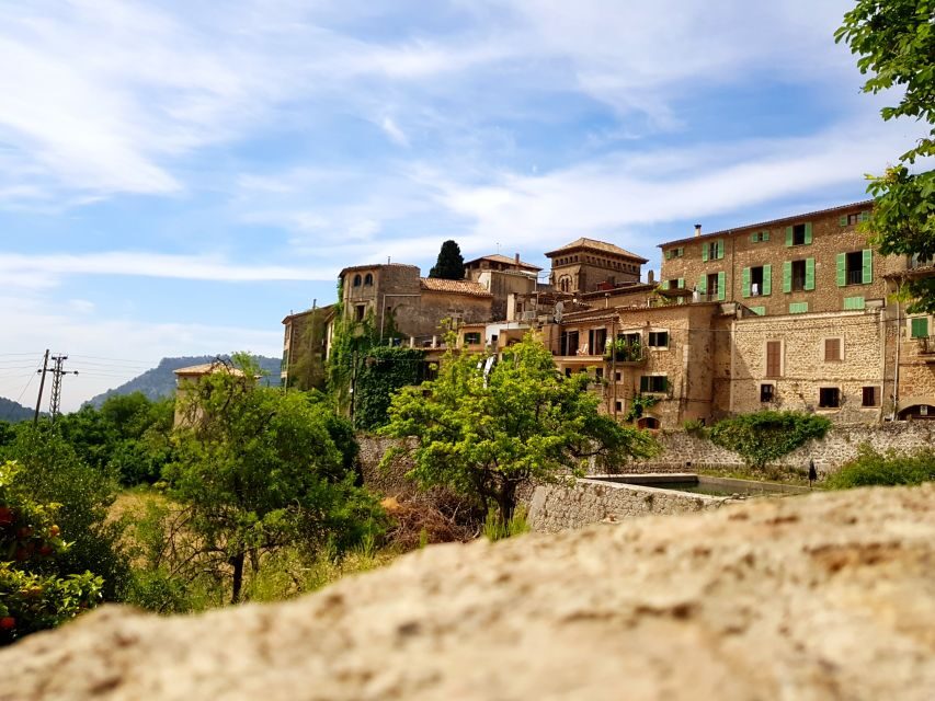 Mallorca: Soller Port and Valldemossa - Practical Details to Keep in Mind