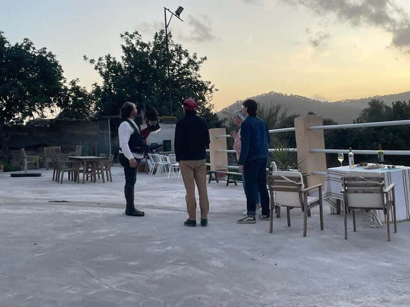 Mallorca: Sunset excursion, horse show, and falconry. - What You’ll Really Experience and Why It Matters