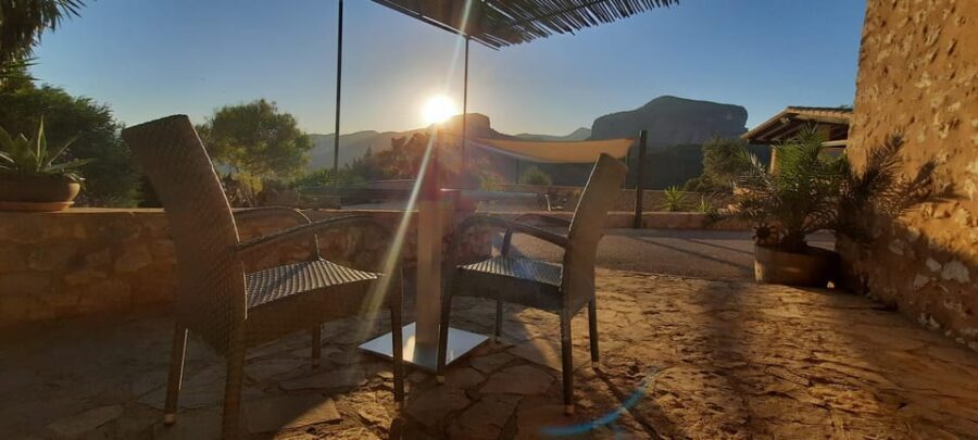 Mallorca: Sunset Wine Tasting Minibus Tour - ENGLISH GUIDE - An in-Depth Look at the Experience