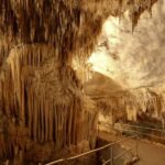 Mallorca: Ticket for Caves of Drach with Pickup Service - The Musical Experience and Boat Ride