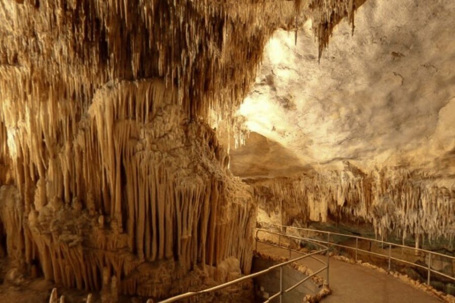 Mallorca: Ticket for Caves of Drach with Pickup Service - The Musical Experience and Boat Ride