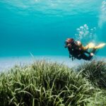 Mallorca: Try Scuba Diving by Boat - Authentic Reviews: What Participants Say