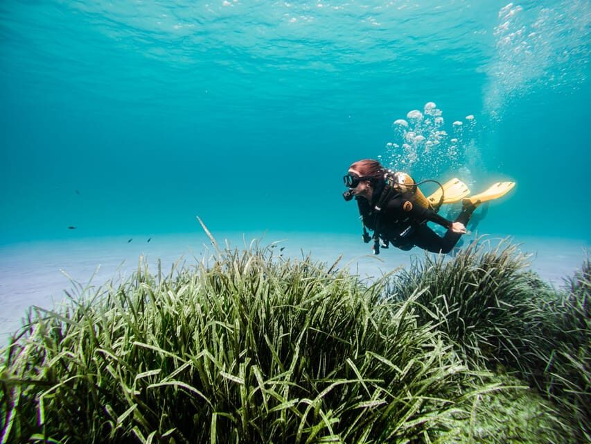 Mallorca: Try Scuba Diving by Boat - Authentic Reviews: What Participants Say