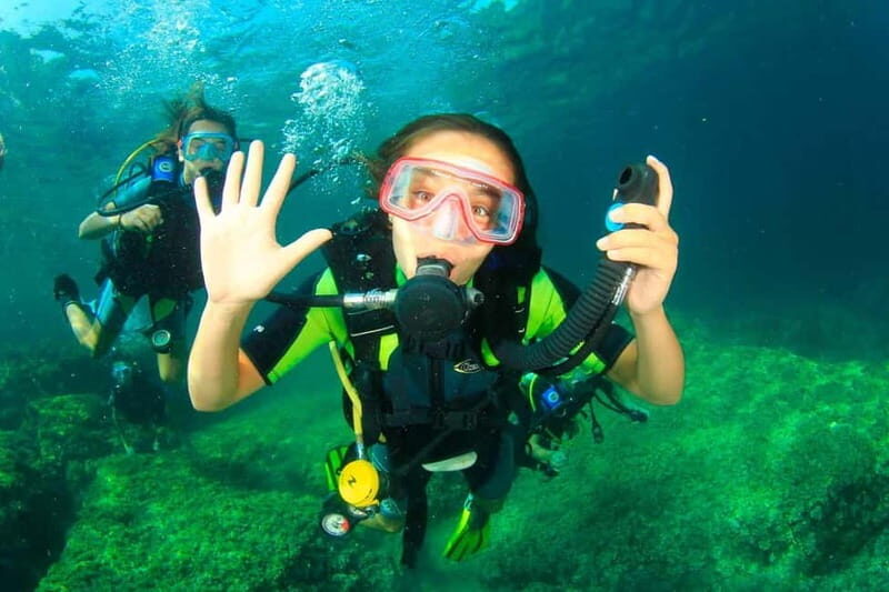 Mallorca: Try Scuba - try diving from a boat with an SSI instructor - The Itinerary in Detail