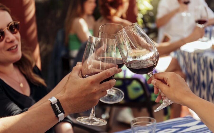 Mallorca Wine Tasting Experience: 4 wines & cheese - What to Expect During the Tour