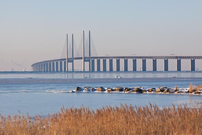 Malmö Private Full Day Trip from Copenhagen by Train - Key Points