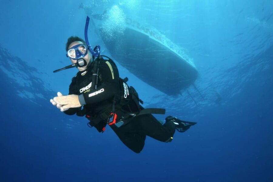 Malta: 1-Day PADI Scuba Diver Certification Beginner Course - What Makes the Malta Course Stand Out