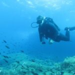 Malta: 2 Scuba Fun Dives for Certified divers - The Underwater Experience